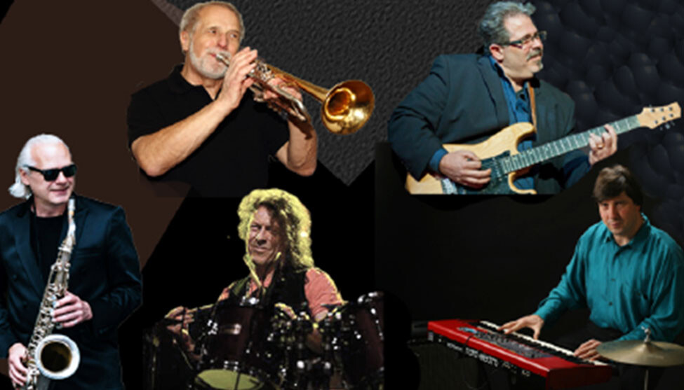 Groovy Straycats | Stadtkonzerte