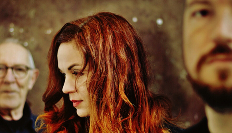 GeneM | Stadtkonzerte