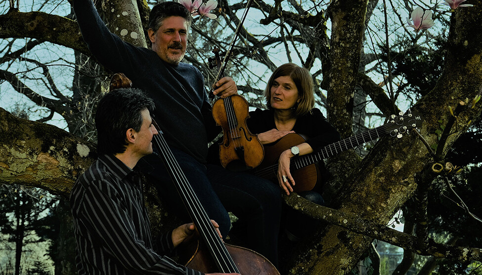 Cardhu Tree | Stadtkonzerte