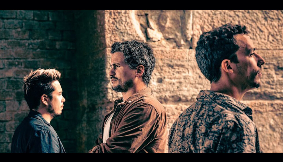 Wildation | Stadtkonzerte