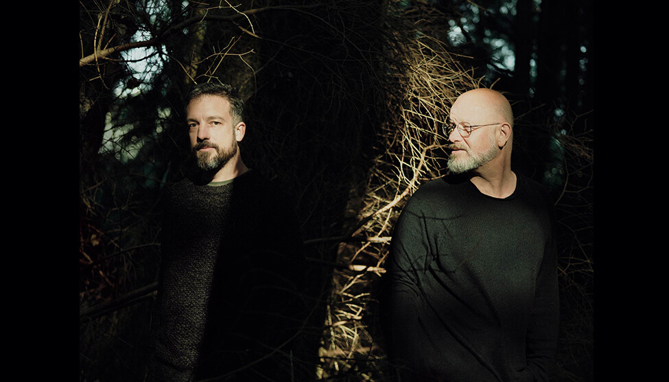 Phyne | Stadtkonzerte